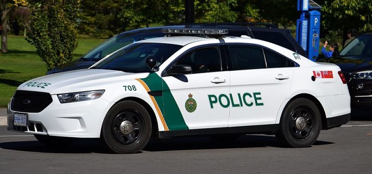 Man in minor fender-bender had to be rescued after fall into Niagara ...