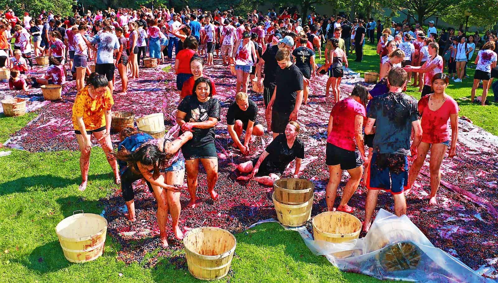 Humongous purple mess coming to St. Catharines university campus ...