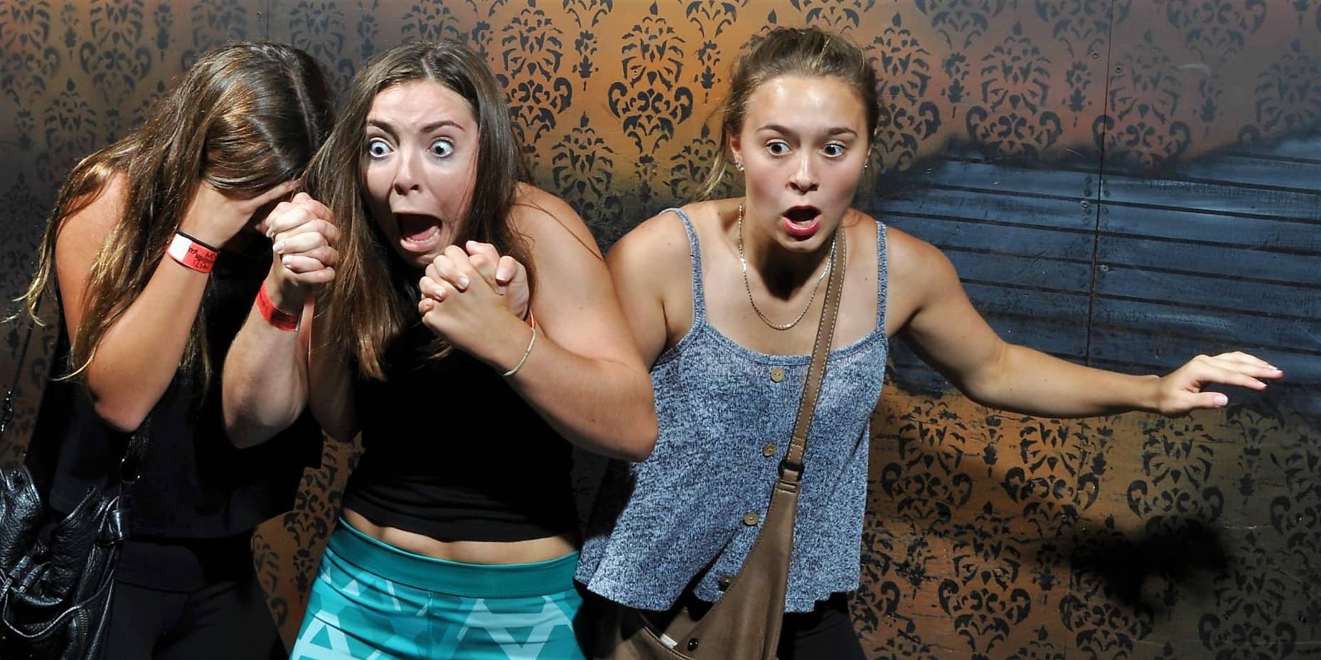 Nightmares Fear Factory Niagara Falls Nightmares Fear Factory | Flickr