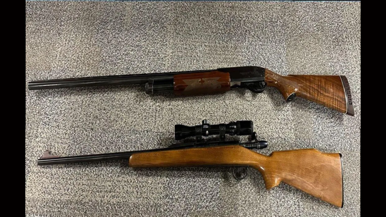 Firearms recovered after break and enter suspects arrested in Niagara ...